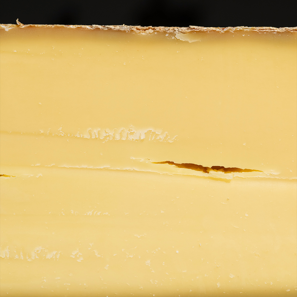 Mountain power - Cheese Gentlemen